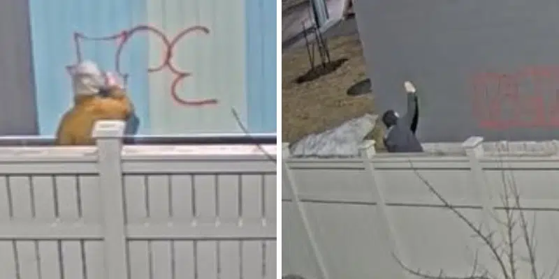 RNC Cracking Down on Graffiti in Northeast Avalon Region | VOCM