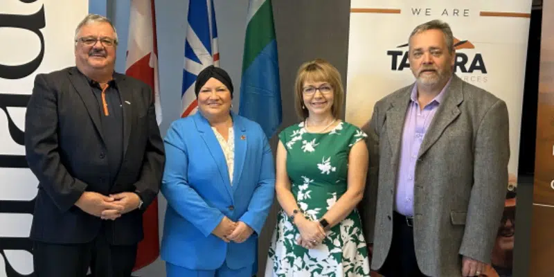 Scully Mine Gets $1.25 Million From Ottawa for Manganese Removal Plant ...