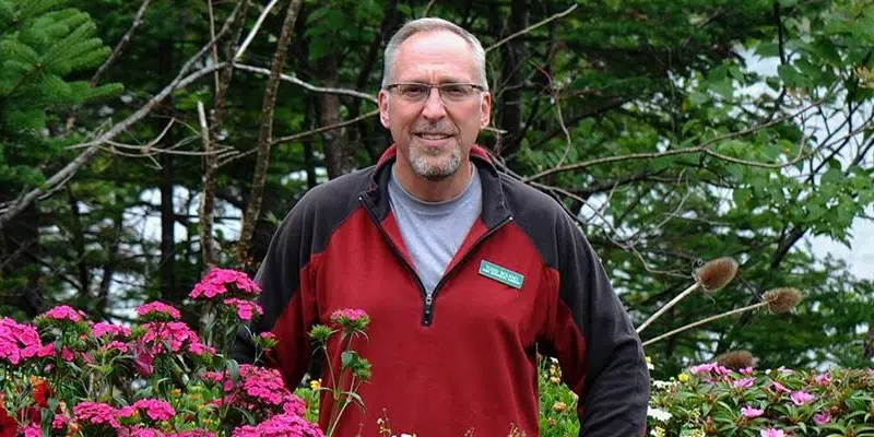 Horticulturist Explains Abundance of Pollen This Summer | VOCM