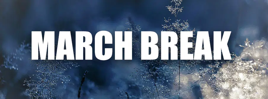March Break | Q103 - Moncton's Rock Station