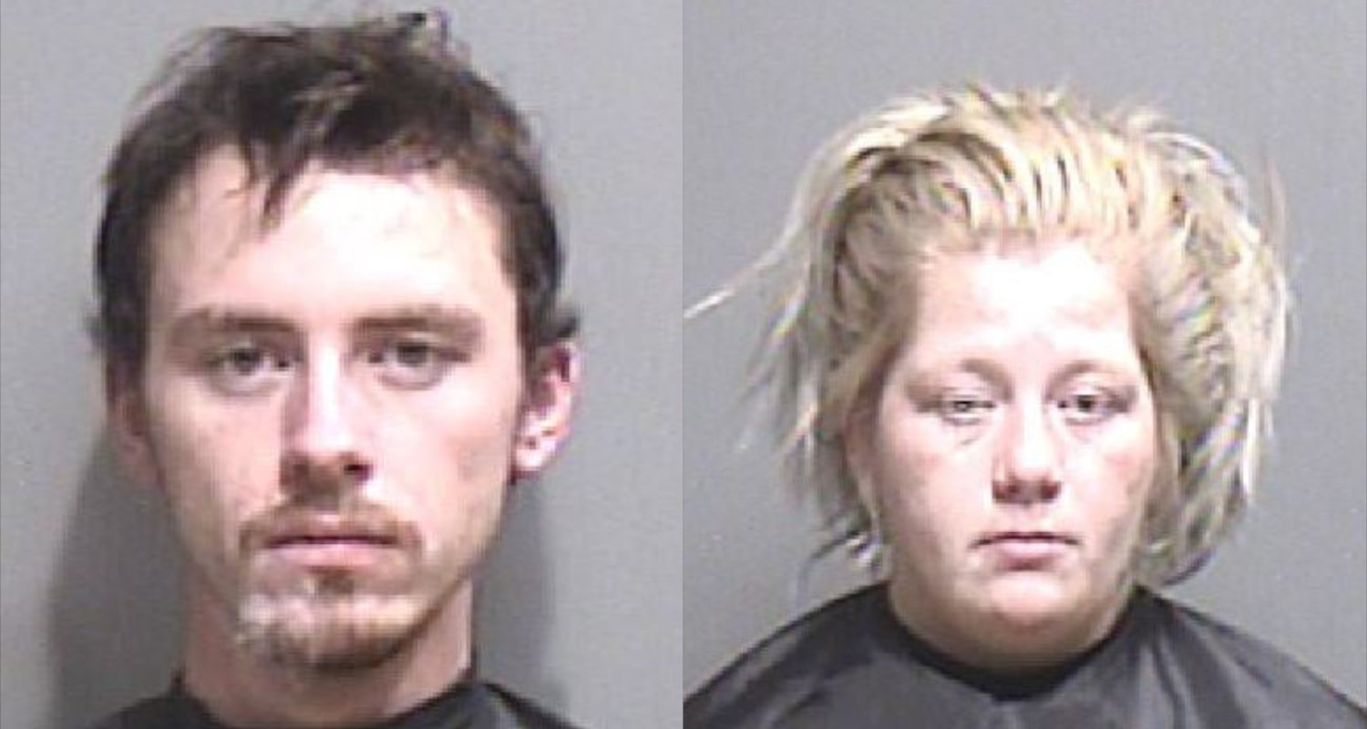 Palm Coast Porch Pirates Face Multiple Felony Charges, Caught On Video ...